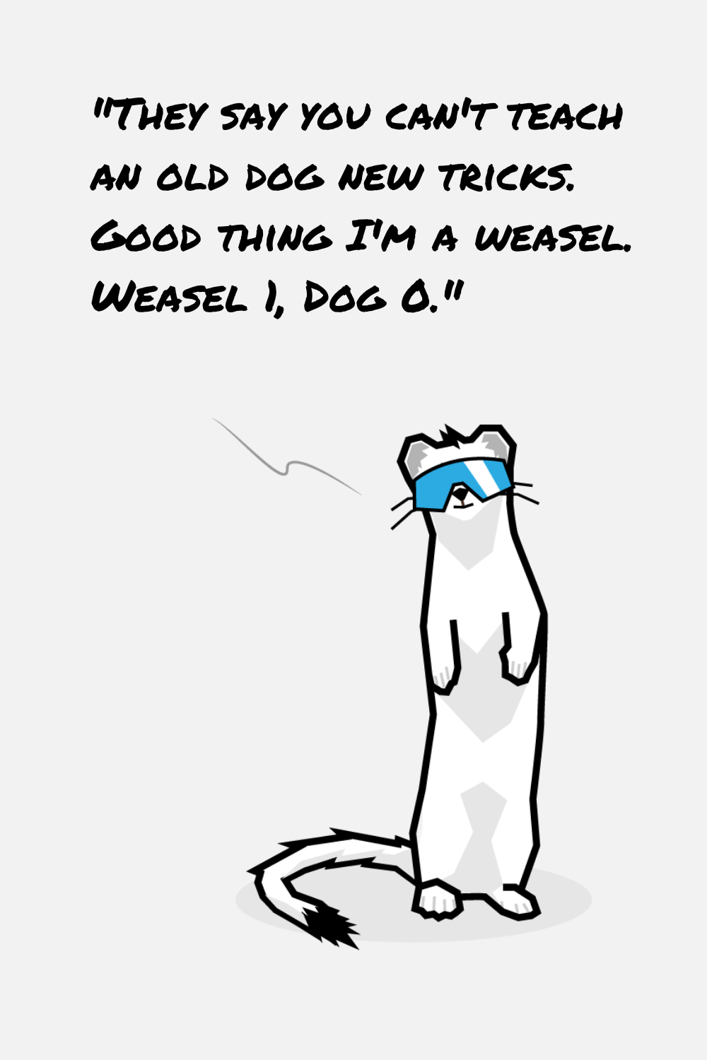 Gino the weasel - Make the complex simple and the ordinary magic